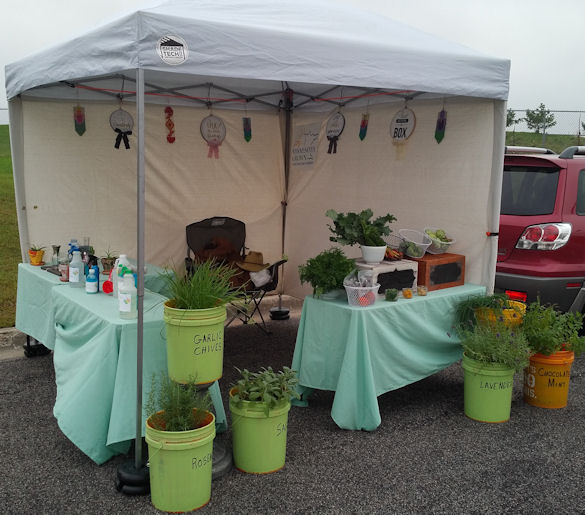 Market Day – Wind's Four Quarters Farm